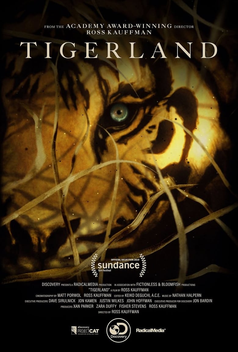 Tigerland (2019) - DVD PLANET STORE
